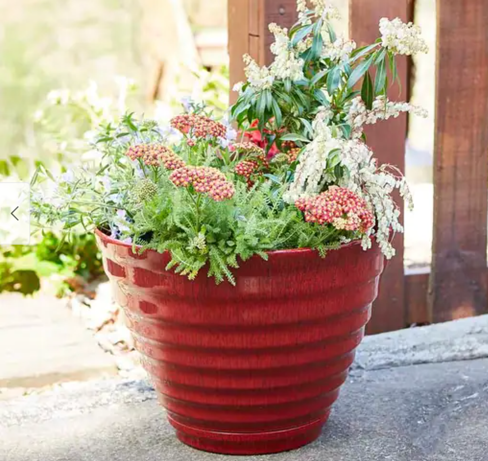 Southern Patio Beehive Planter – Salvage & Co Indy