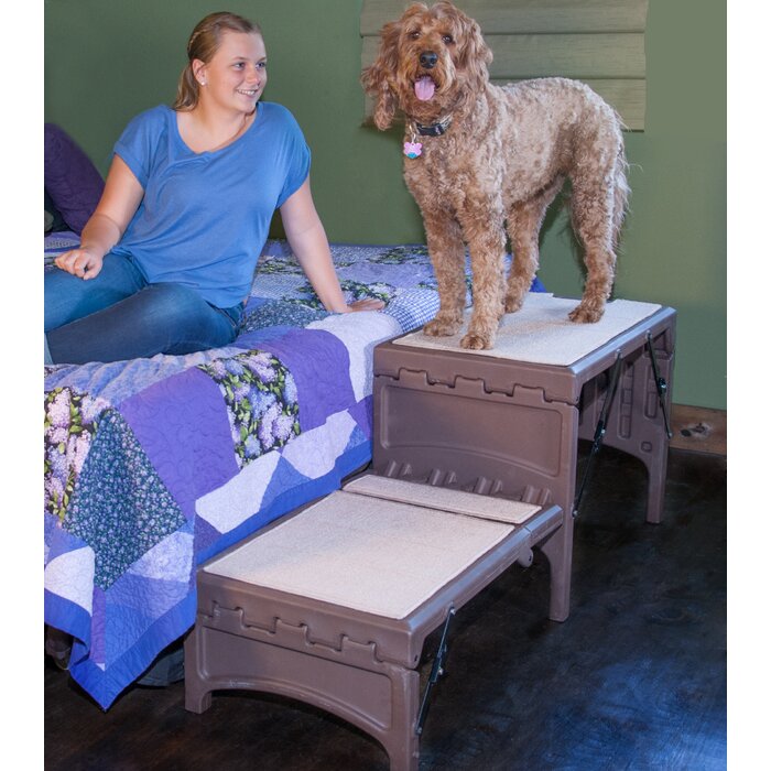 Free Standing Foldable 2 Step Pet Stair – Salvage & Co Indy