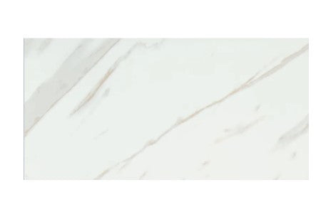 12" x 24" Rectangle Floor and Wall Tile Matte Visual Sold by Carton (1 ...